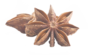 Agrocarnes - Carne de Alta Calidad y Productos Orgánicos en Chile