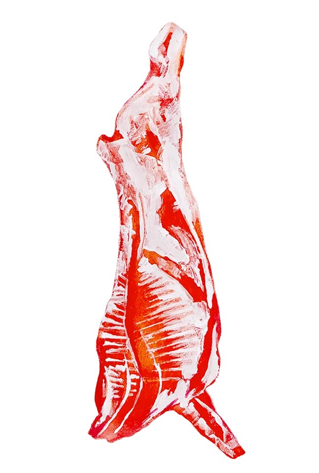 Nuestros Productos - Agrocarnes: Carne Orgánica y de Alta Calidad en Chile